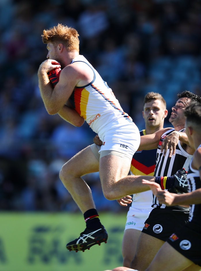 SANFL: Cheney to strengthen backline