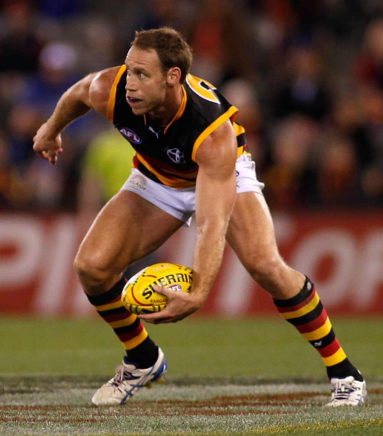 Crows close to success: Rutten