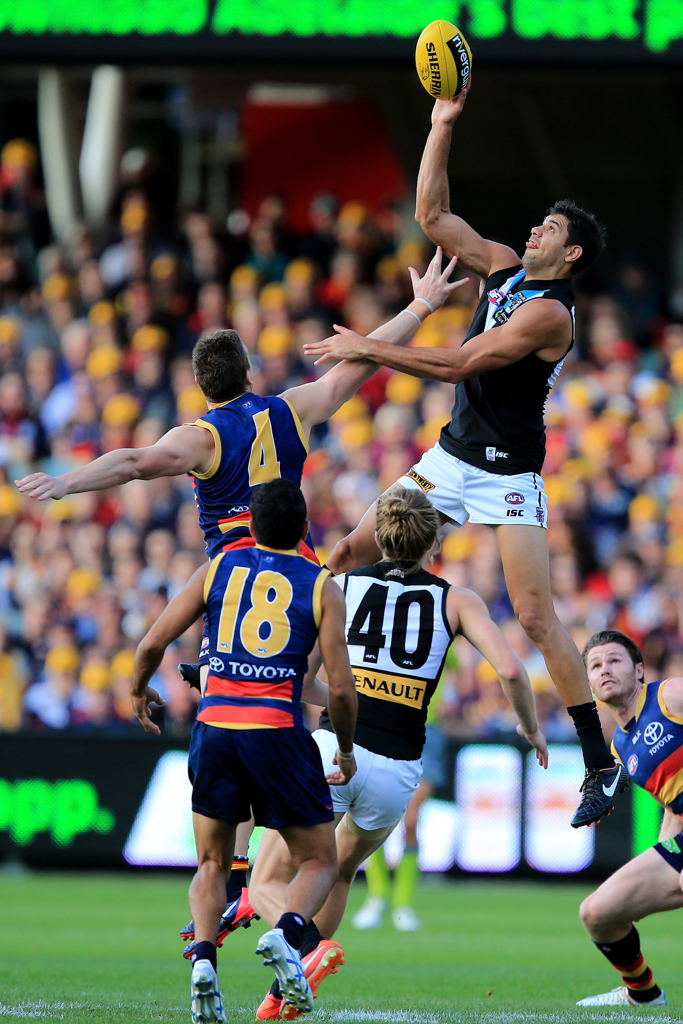 The Pods Cast: Indigenous Round