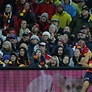 Crows grab crowd record