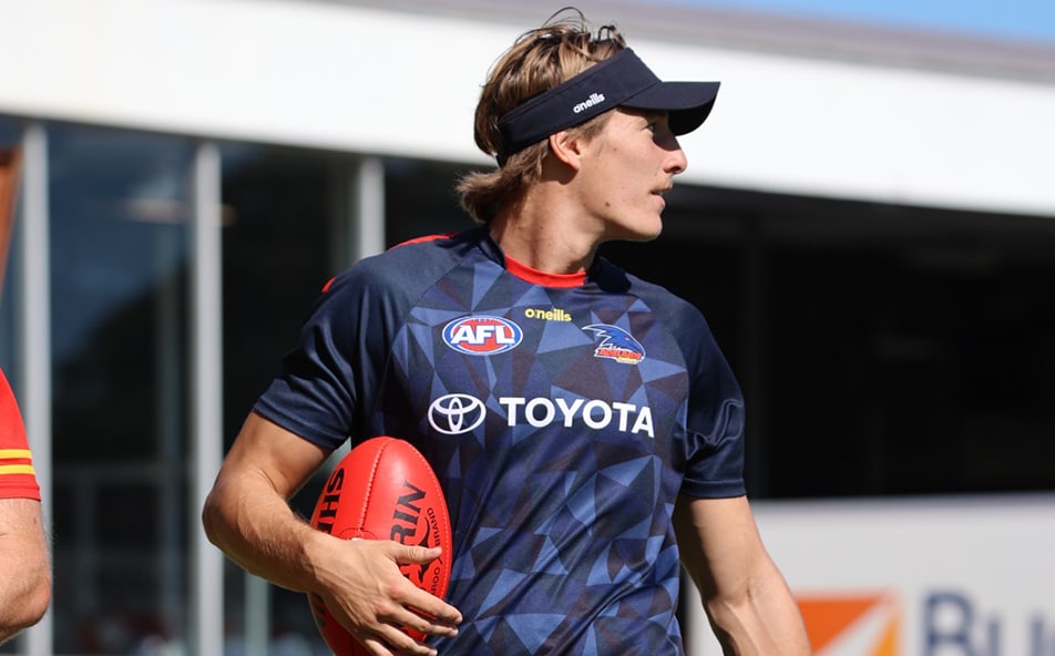 Injury Update: Round Two