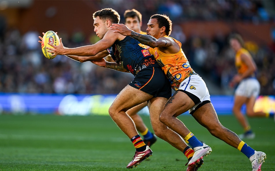 Team-first approach driving Sholl