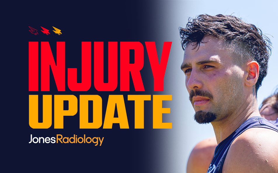 Injury Update: Match simulation