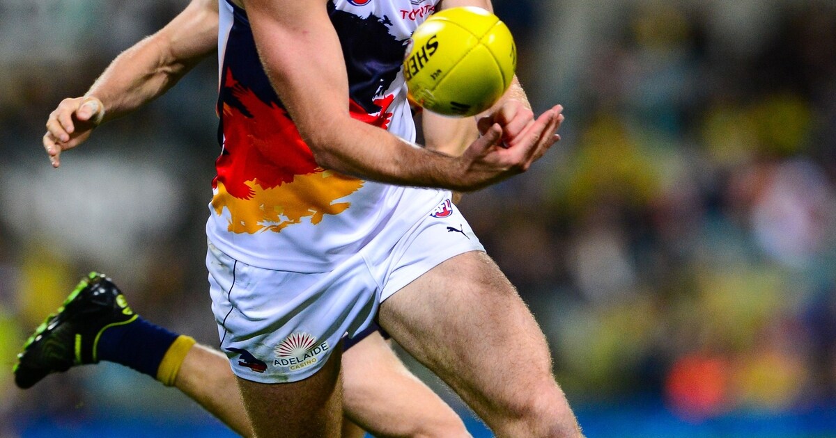 Updated: Andy addition