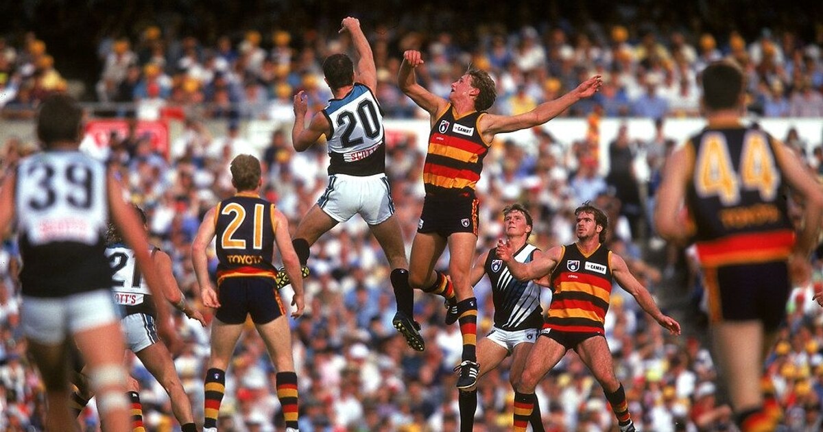 Crows and Power to award retrospective Showdown Medals