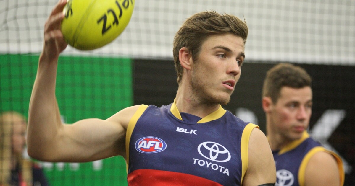 Seedsman growing with every game