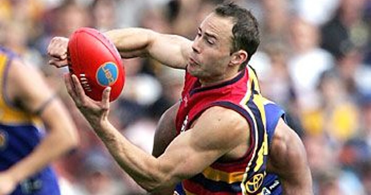 Torney back in harness