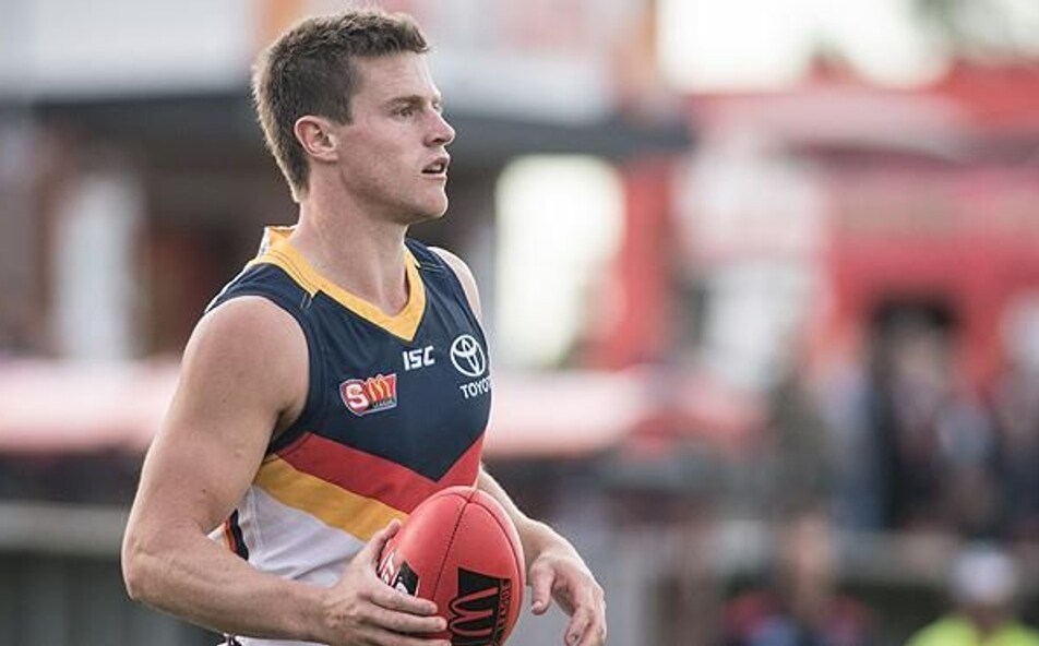 Beech back to full flight