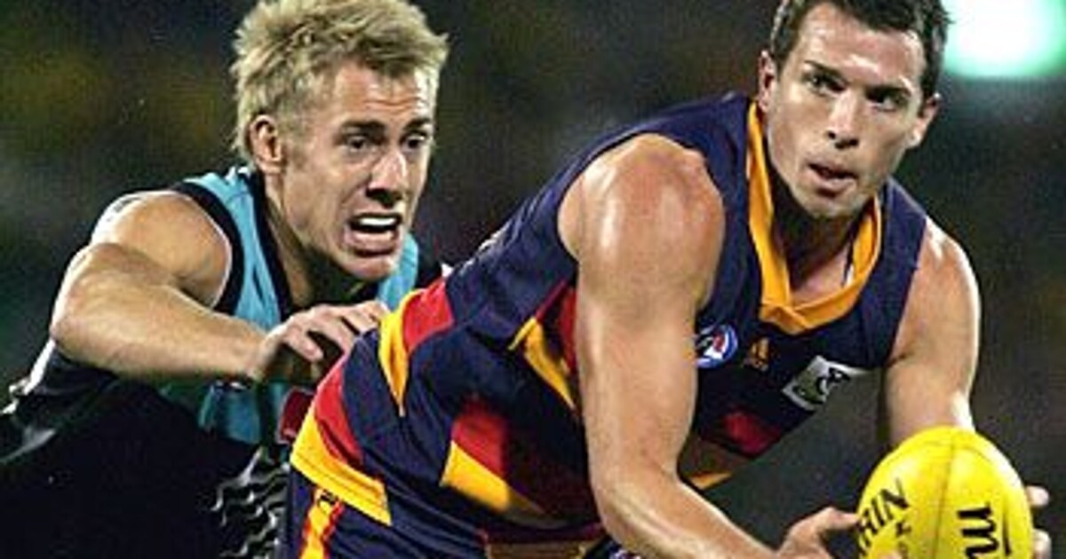 Crows show how it's done