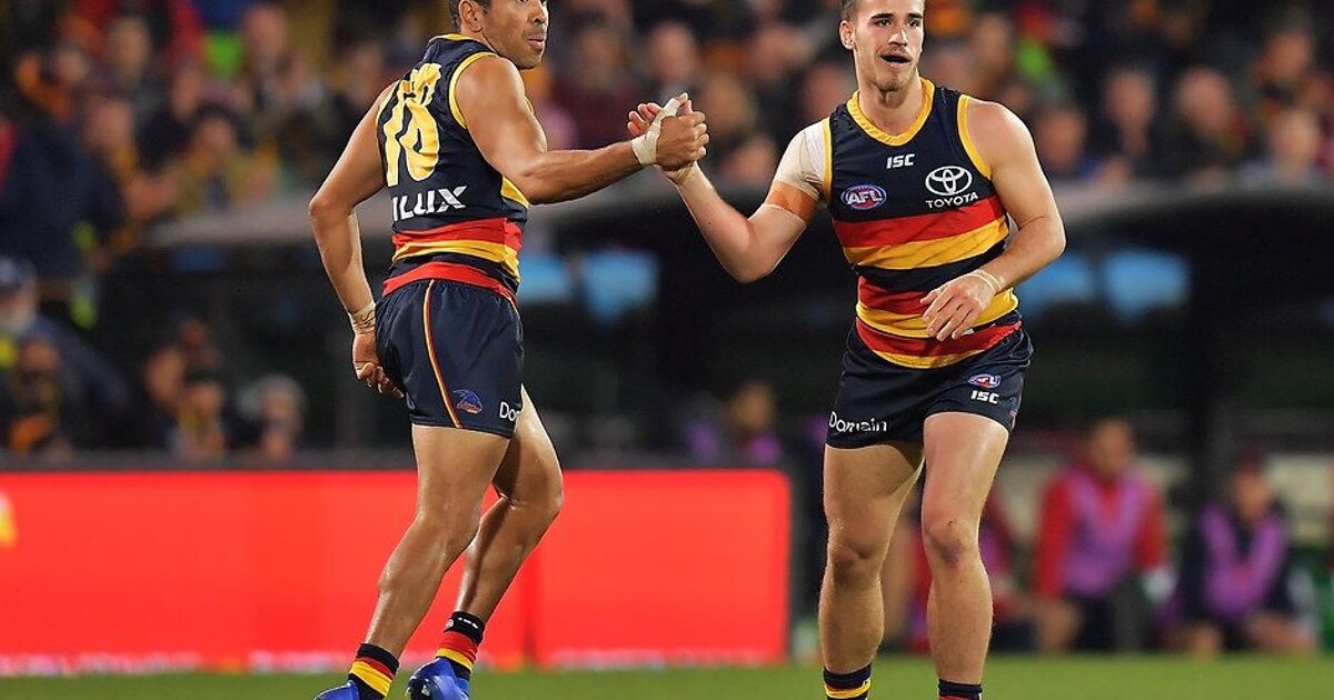 Three small forwards? Crows search for ‘perfect’ mix