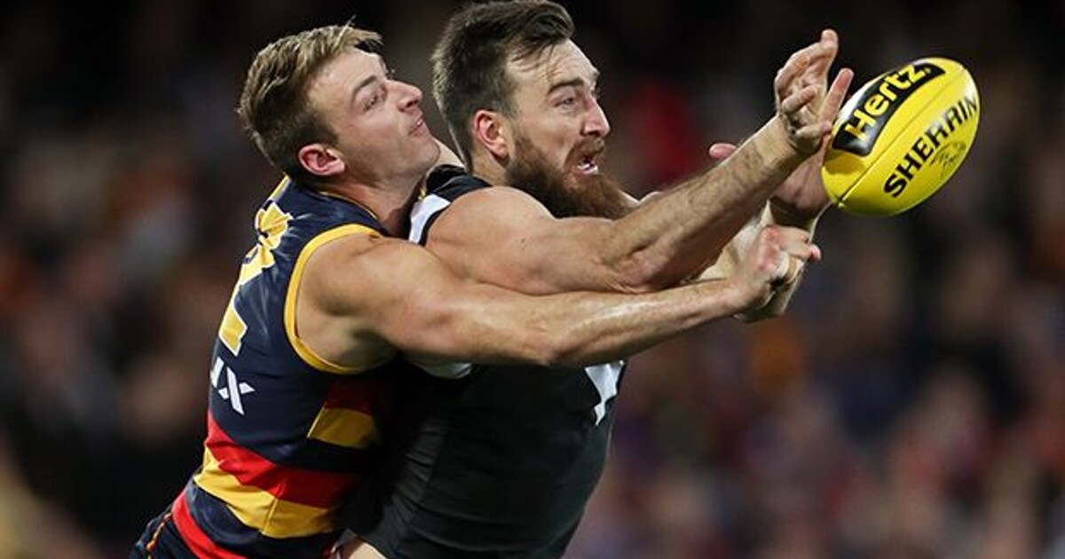 Season review: Daniel Talia