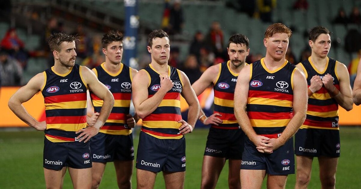 Fagan promises thorough review