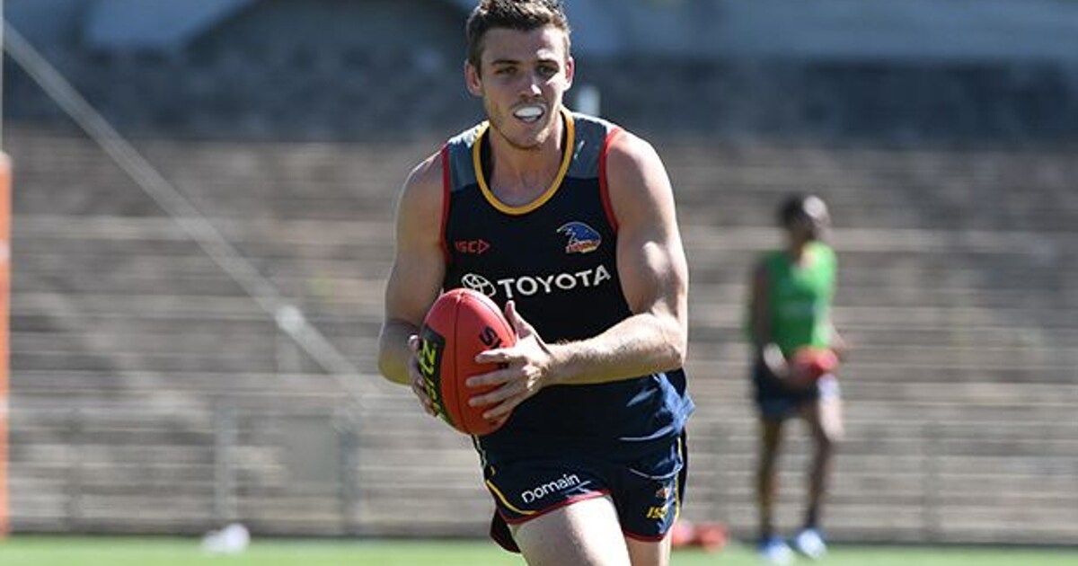 Seedsman's future goals