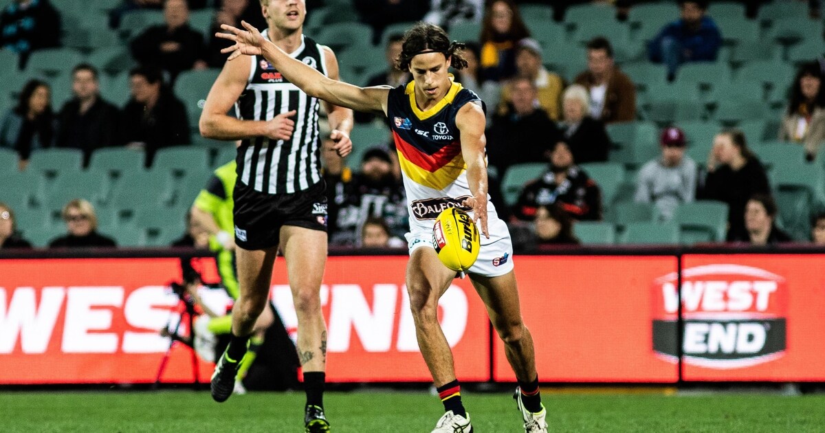 Season review 2019: Will Hamill