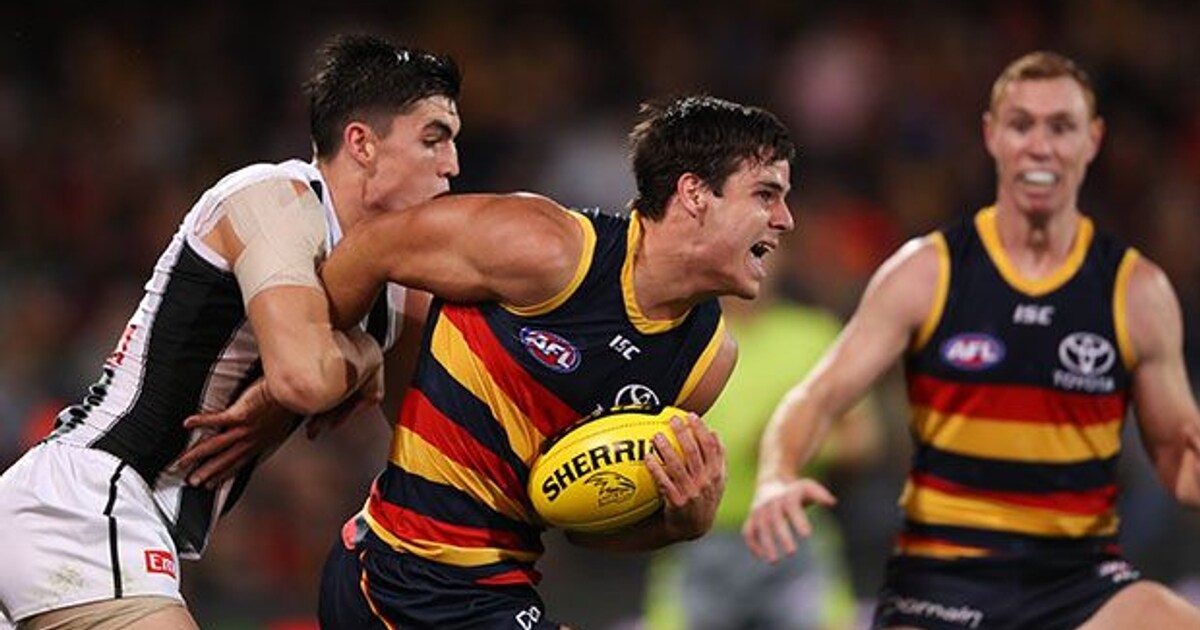 Season review: Darcy Fogarty