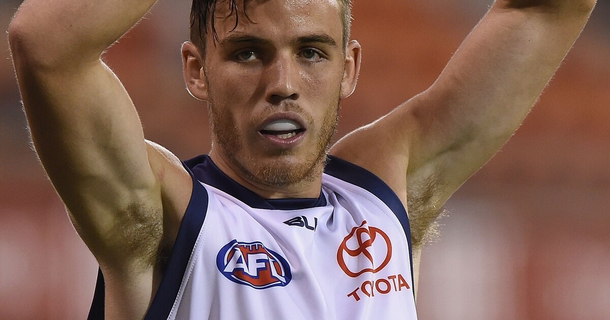 Seedsman on the steady rise