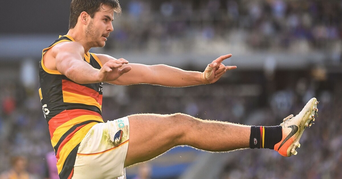 Darcy Fogarty's big takeaway from 2019