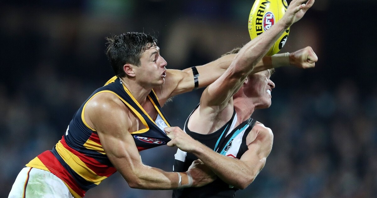 Showdown 49: Injury-struck Crows' fight not enough