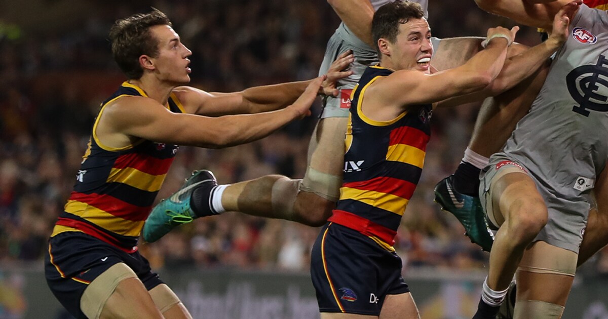 Doedee’s partner in defence to return for Blues clash