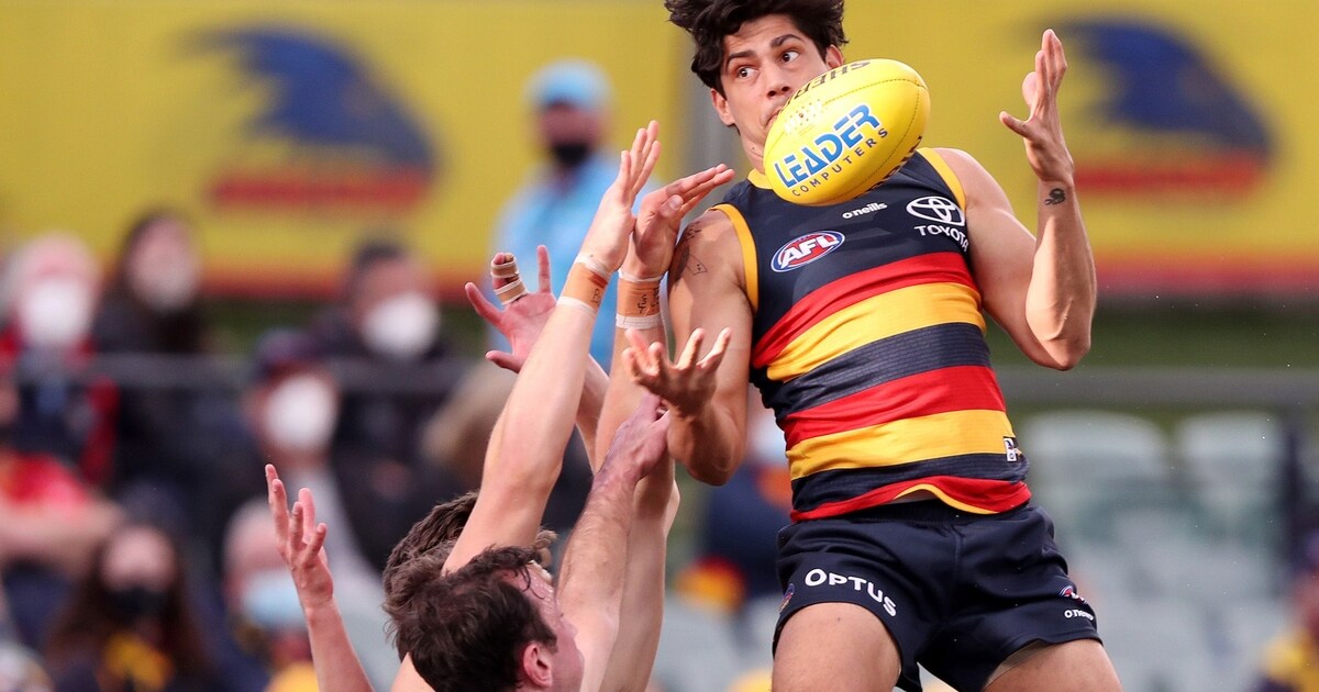 McAdam nominated for Mark of the Year in final round