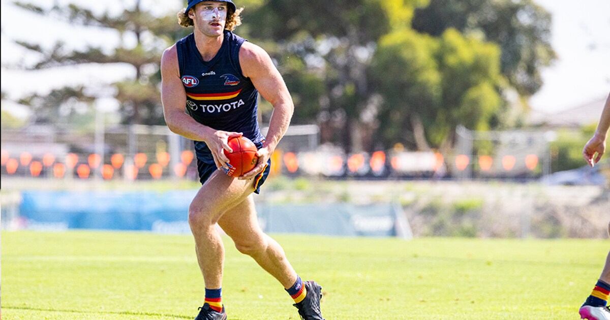 Berry hopes to show fruits of Crows’ pre-season