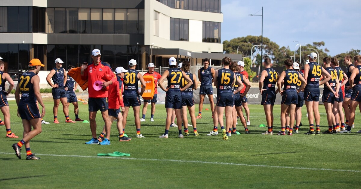 Insider Training: Issue Four