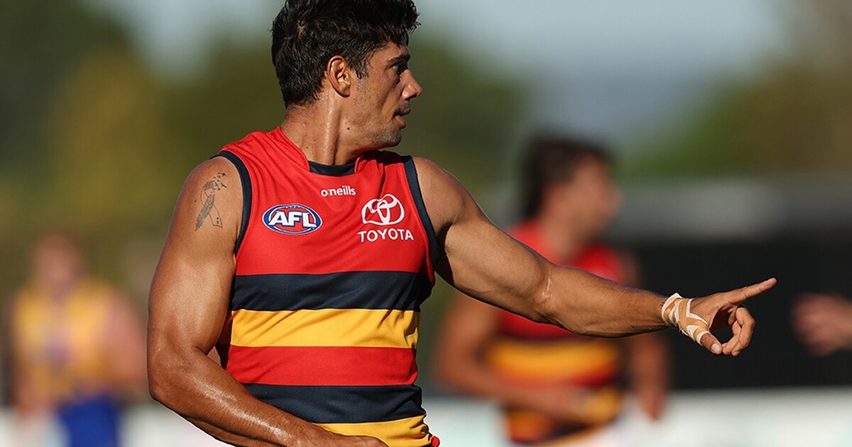 Injury Update: Round 12