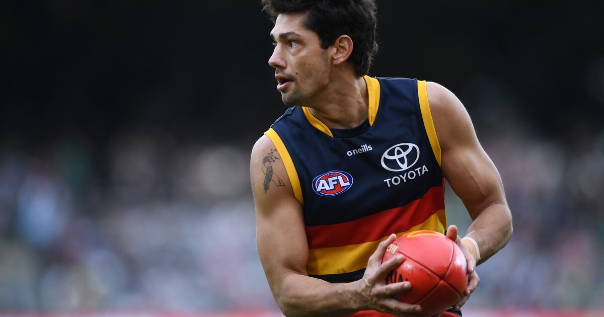 McAdam to explore options