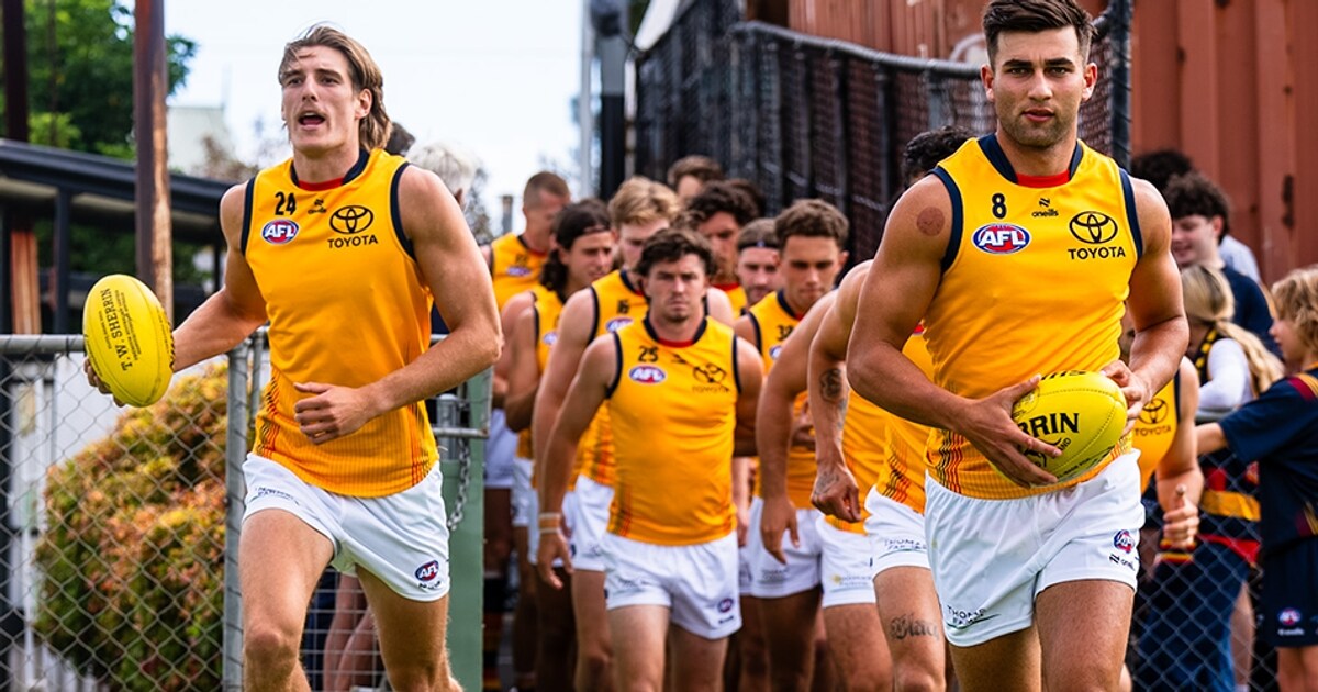 Crows v Power Match Sim: Five Key Takeaways