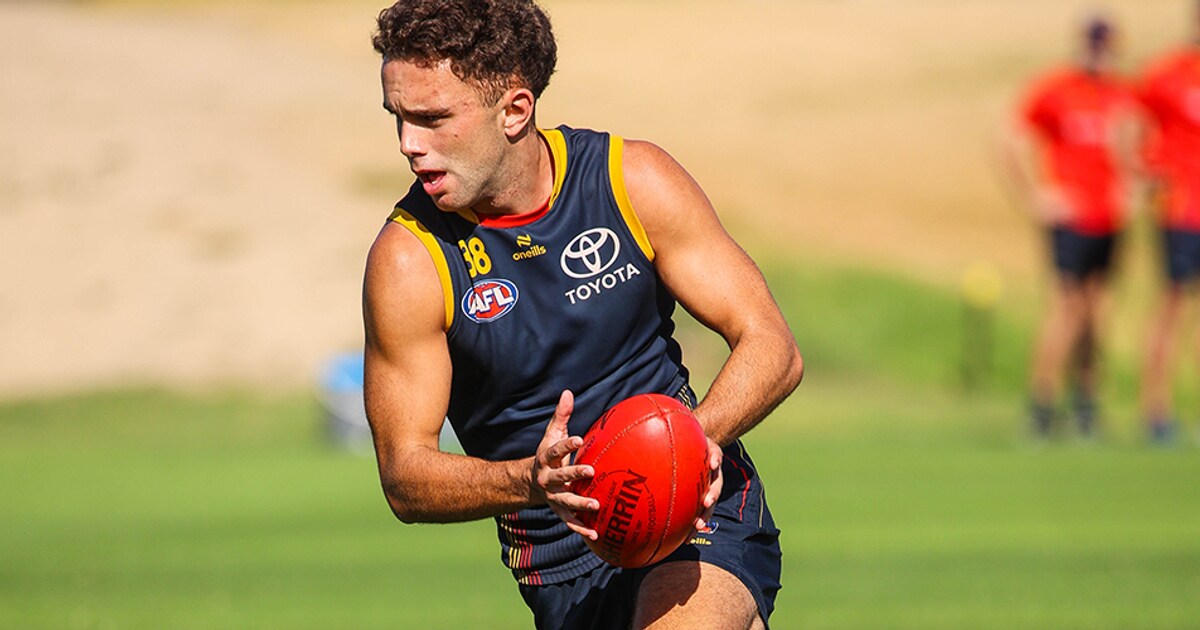 Sholl shares secrets for Gold Coast preparation