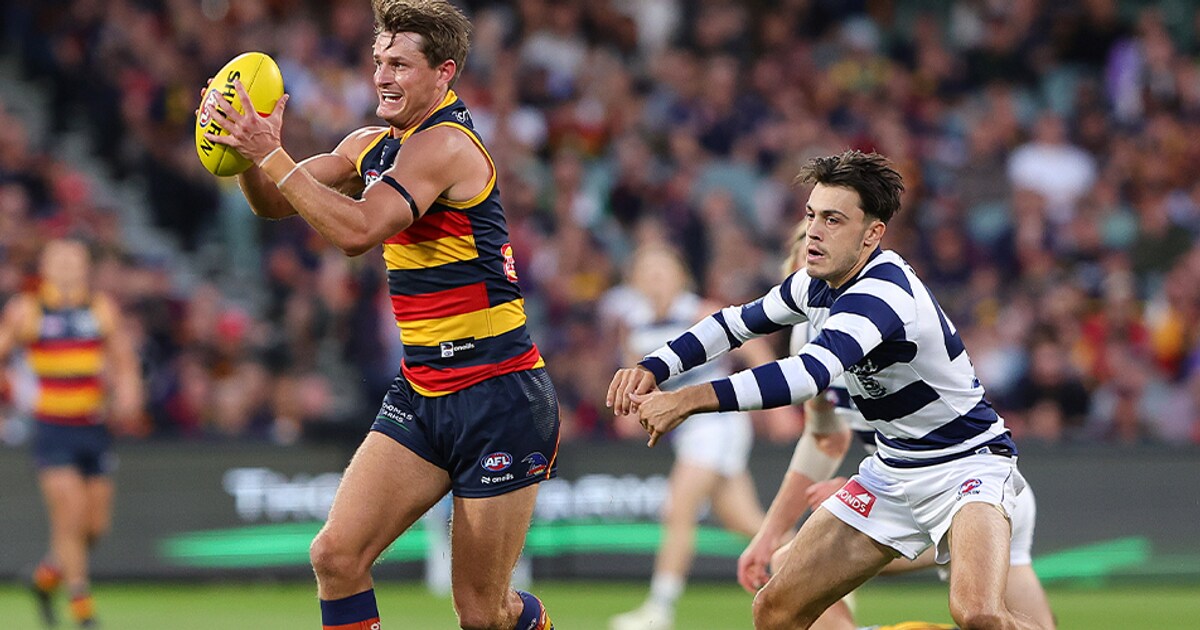 Darren Burgess on Crouch's resurgence