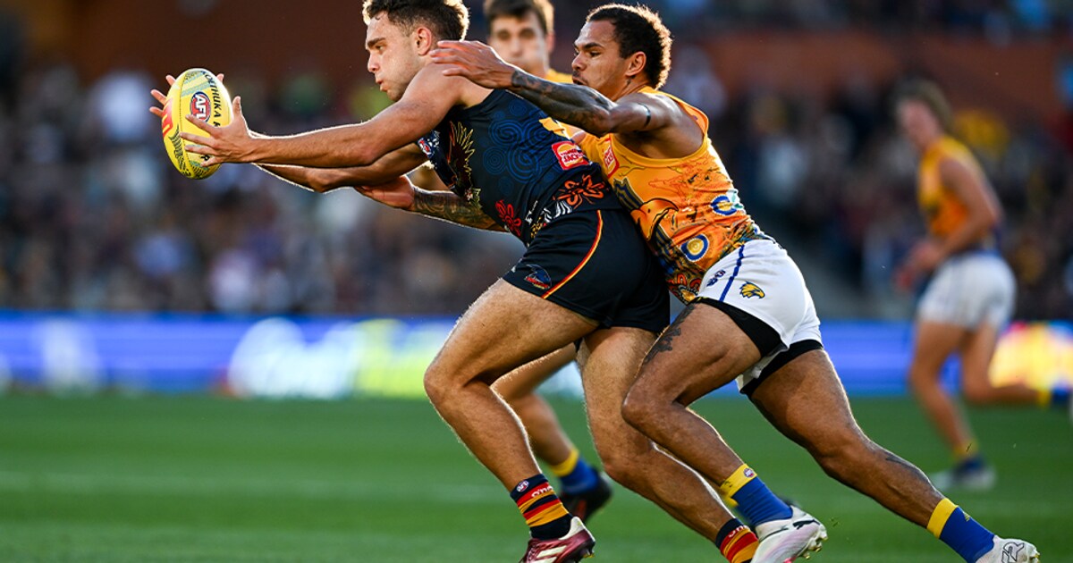 Team-first approach driving Sholl