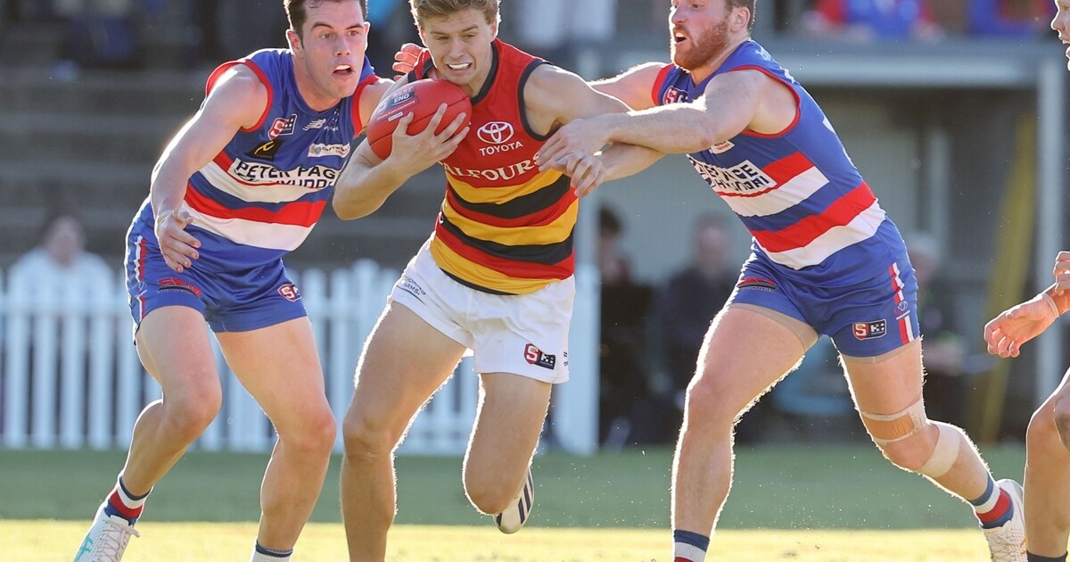 Adelaide Crows - Galleries