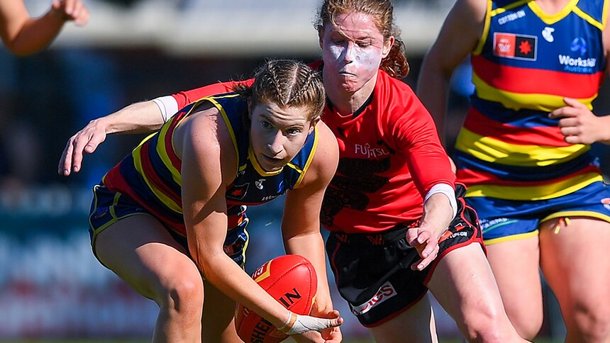 Official Adelaide Crows AFL Website | Adelaide Football Club